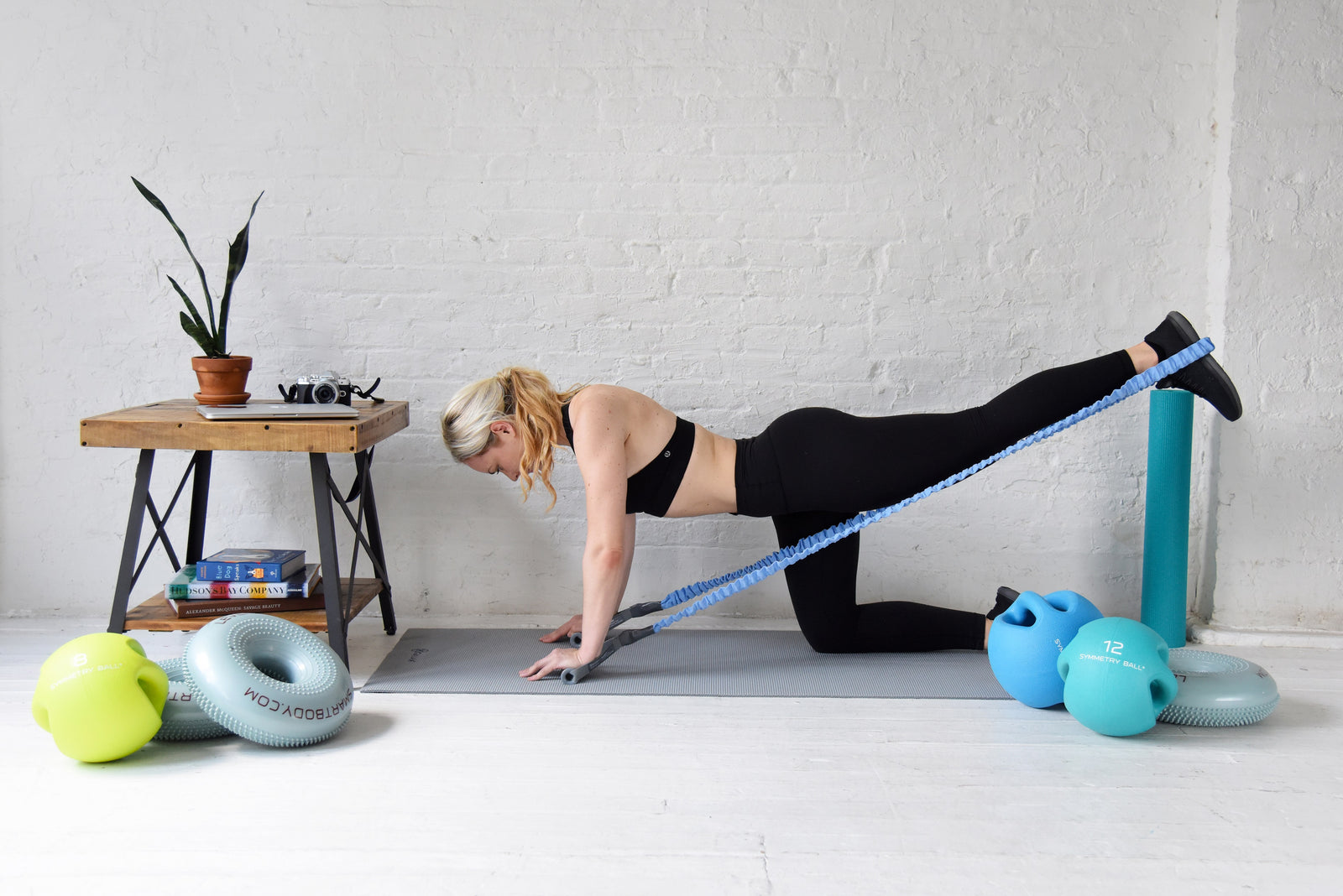 SMART TONER® PREMIUM HANDLES – SMART BODY
